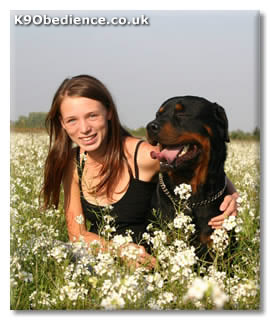 Dog Bonding: How a dog bonds with you, and how to ensure a good canine ...