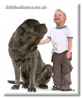 Dog Bonding: How a dog bonds with you, and how to ensure a good canine ...